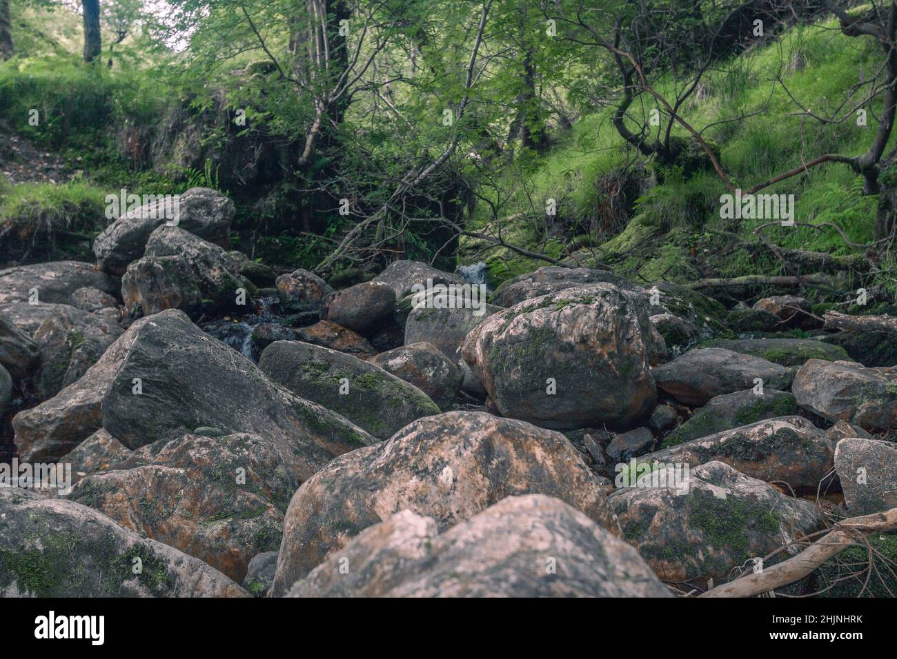 Wicklow Mountains National Park, County Dublin, Ireland, wandering ...