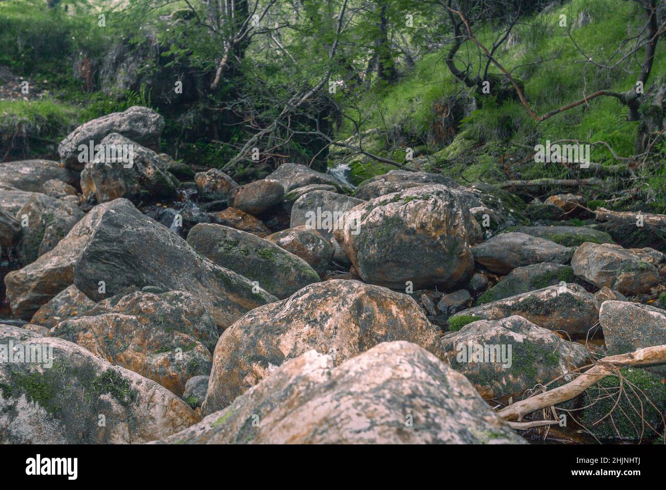 Wicklow Mountains National Park, County Dublin, Ireland, wandering ...