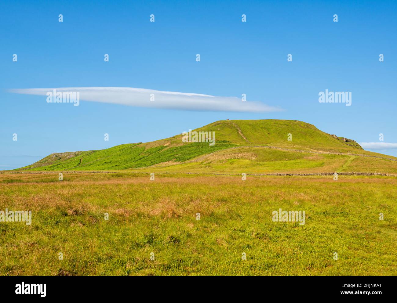 Summer view of the summit of Pen Hill, Wensleydale, Yorkshire Dales ...