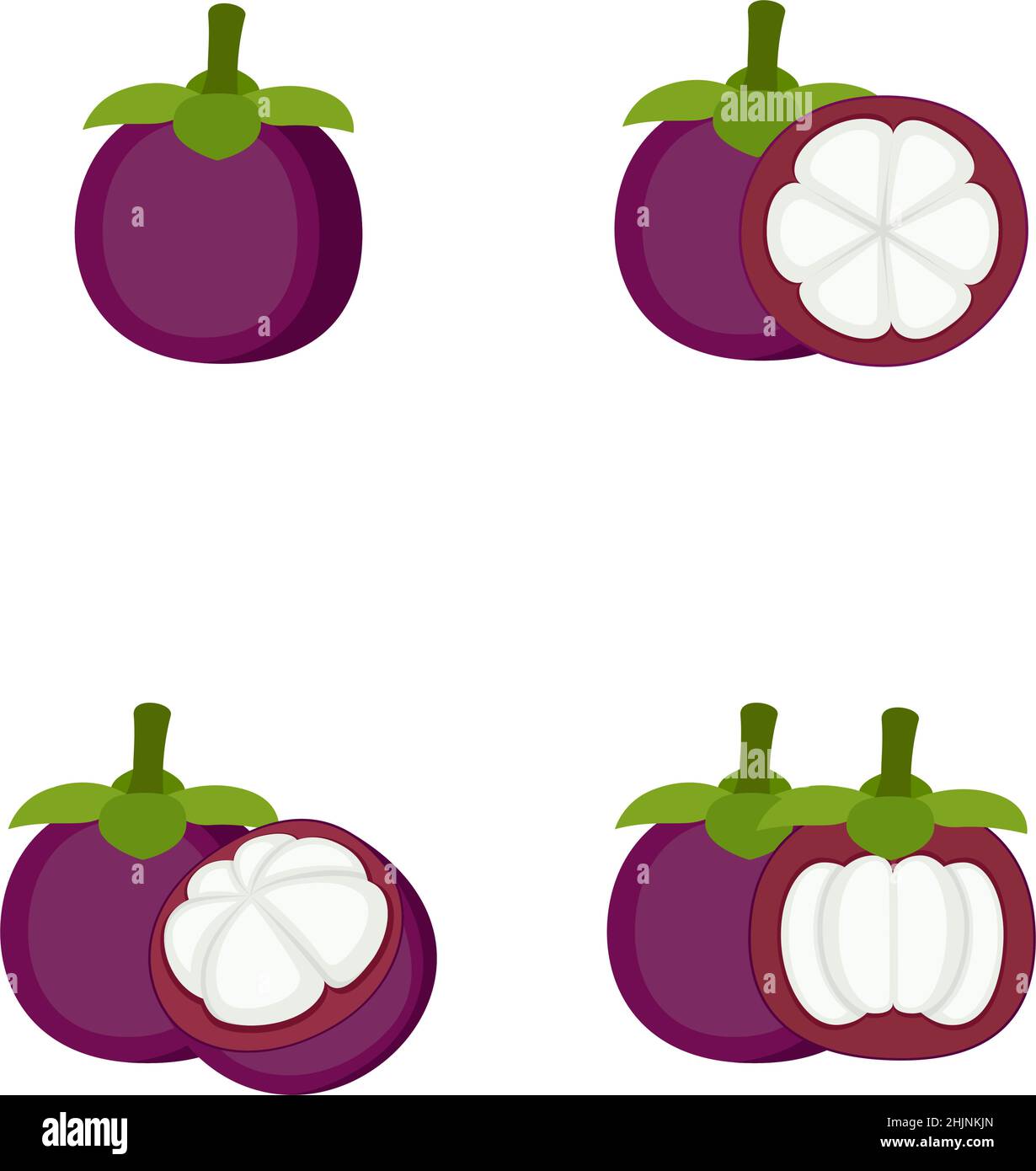Mangosteen, whole fruit, half, slice, vector illustration Stock Vector ...