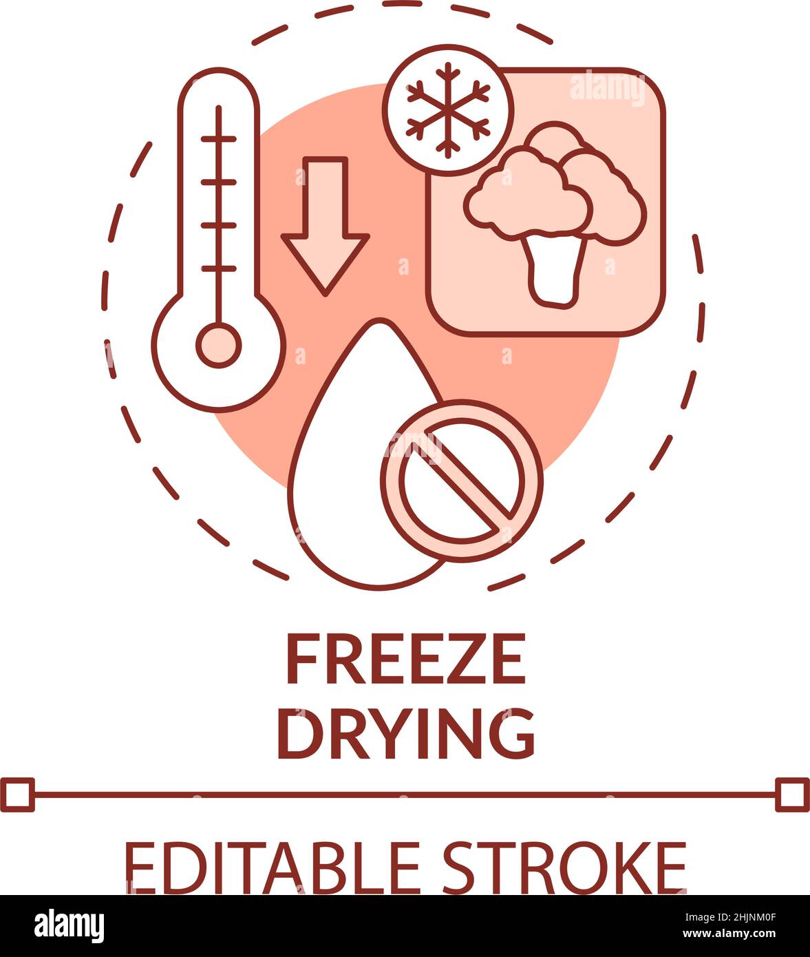 Freeze drying process Stock Vector Images - Alamy