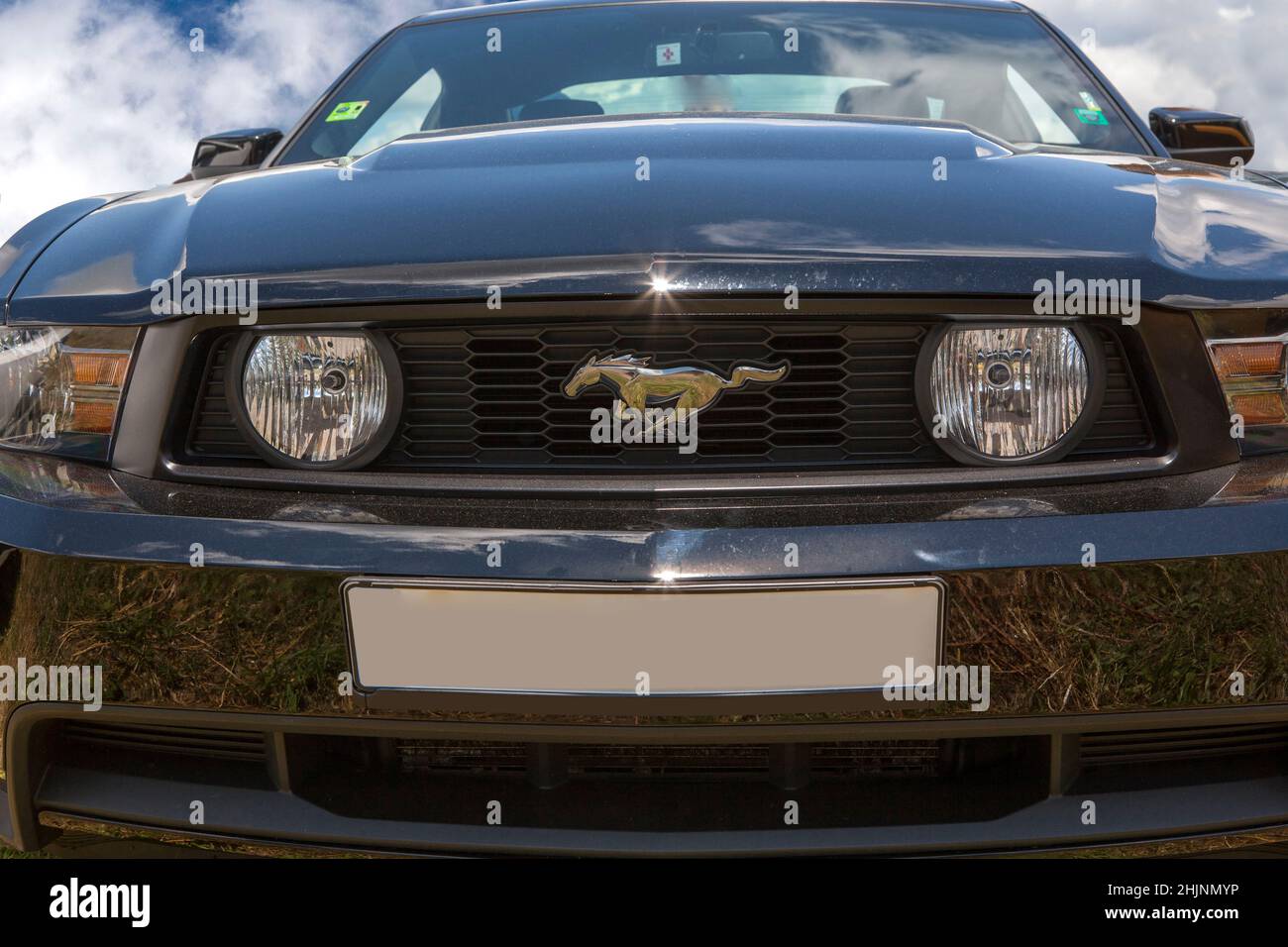 Logo mustang pony hi-res stock photography and images - Alamy