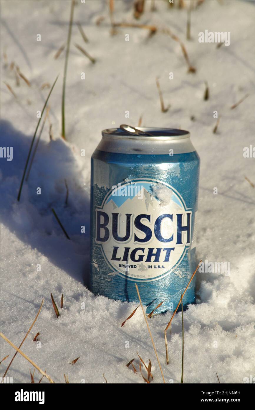 Closeup bush light beer hi-res stock photography and images - Alamy