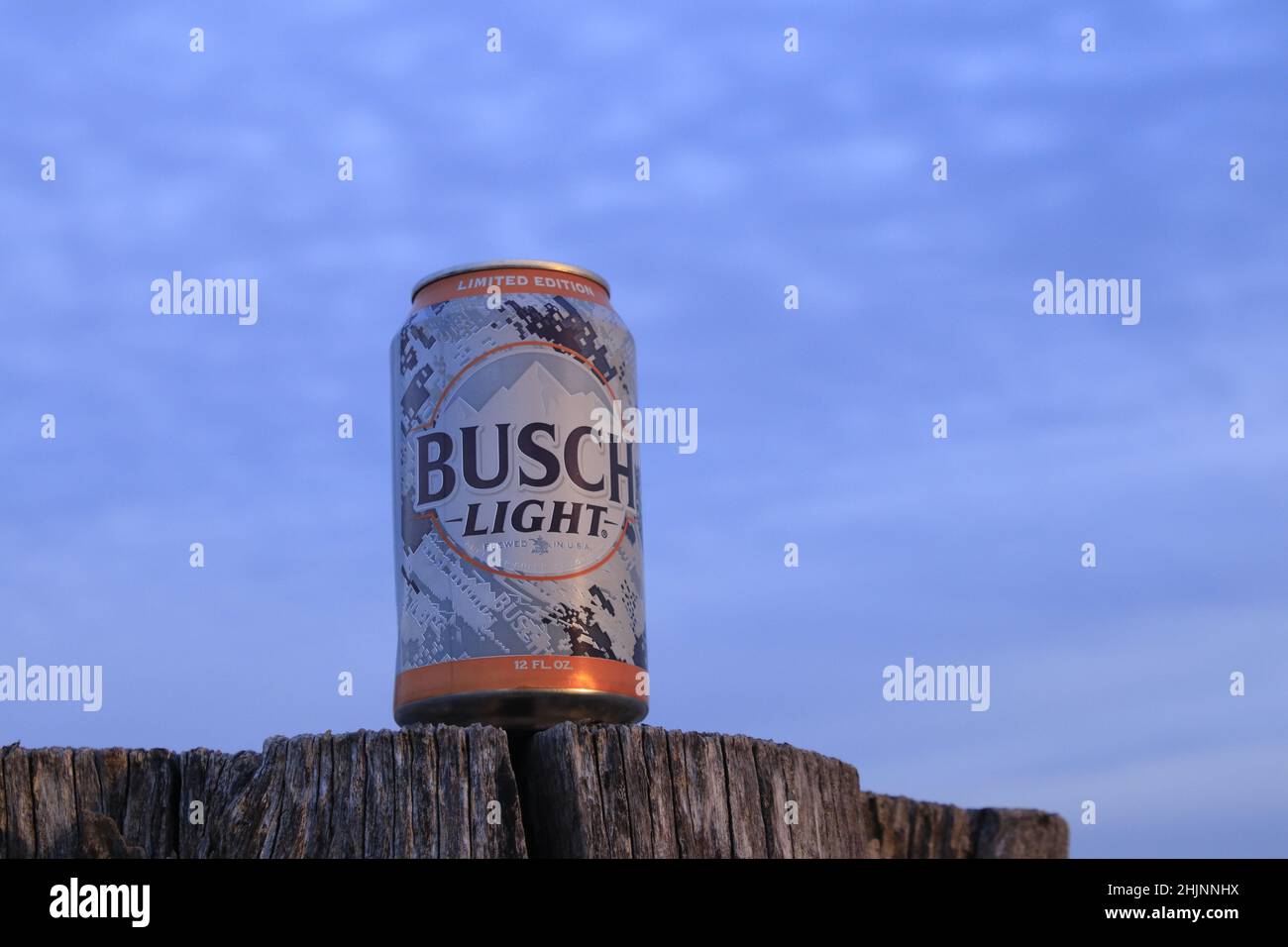 A shot of a Can of BUSCH LIGHT BEER in a orange and white can on a ...