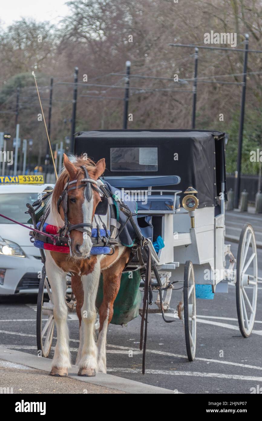 Irish horse drawn carriage hi-res stock photography and images - Alamy