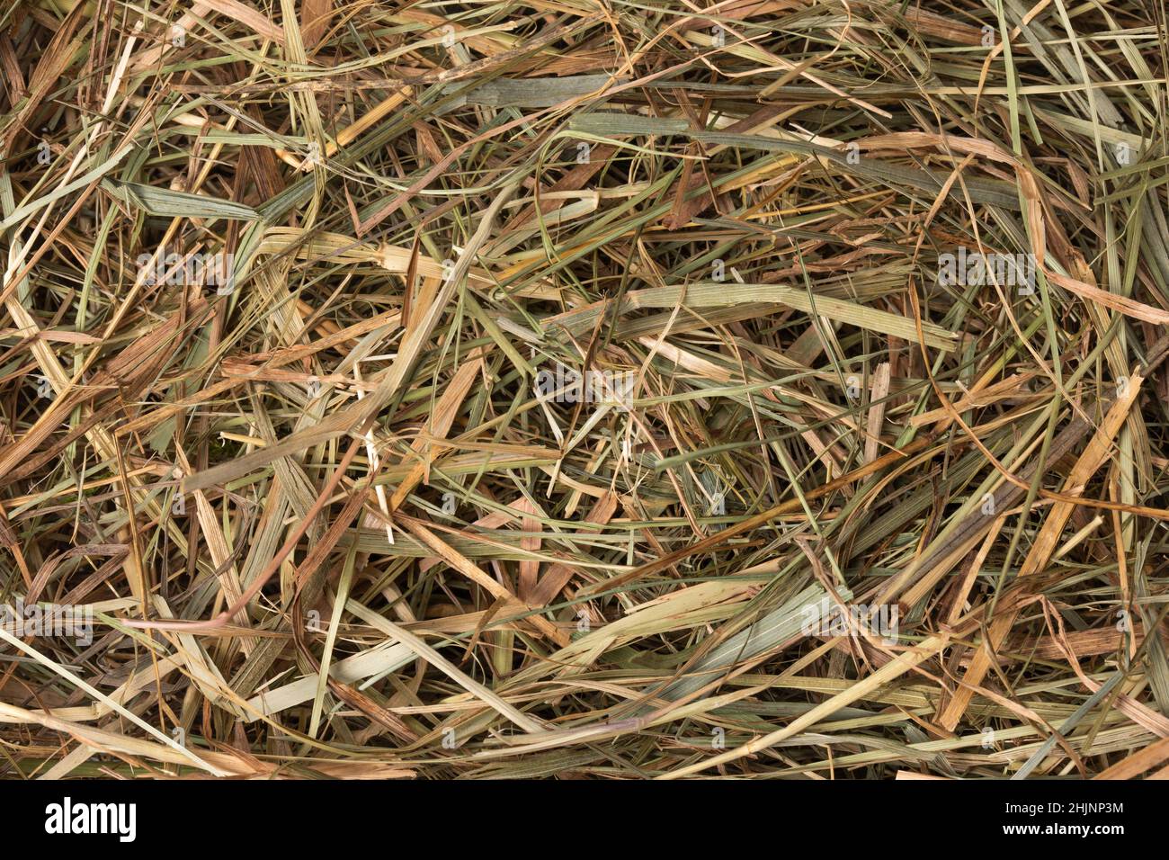 Full frame top view macro shot of straw Stock Photo - Alamy