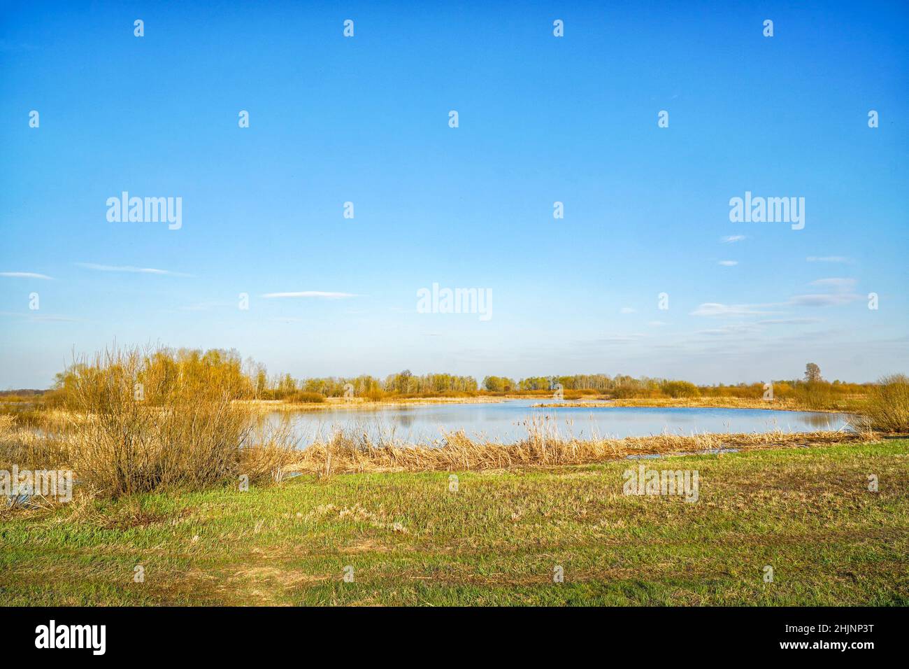 Spring landscape with high spring water on a sunny day against a blue ...