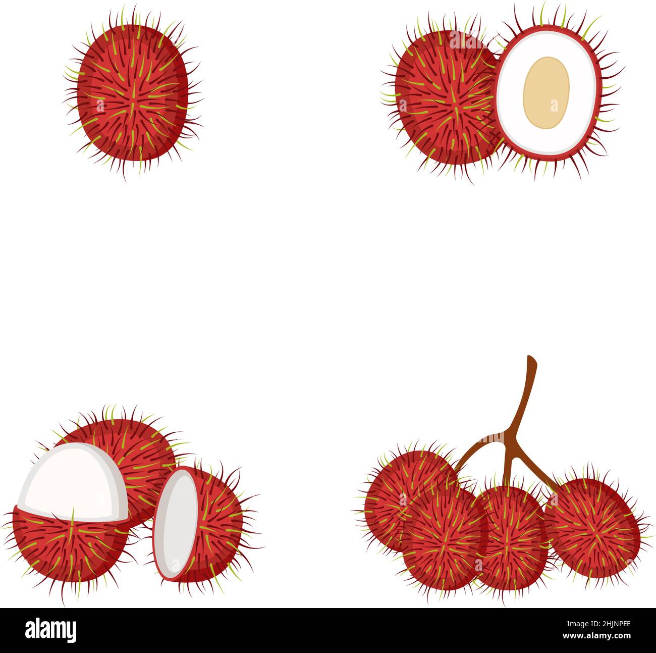 Rambutan harvest Stock Vector Images - Alamy