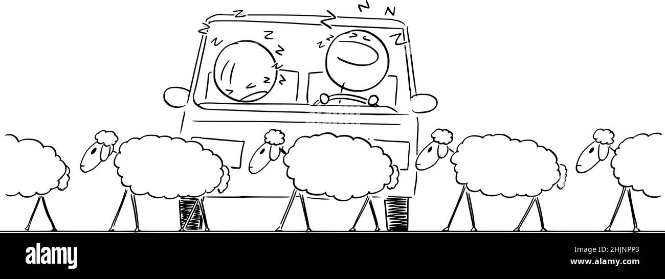 Driver and Passenger in Car Fall a Sleep While Sheep Crossing the Road ...