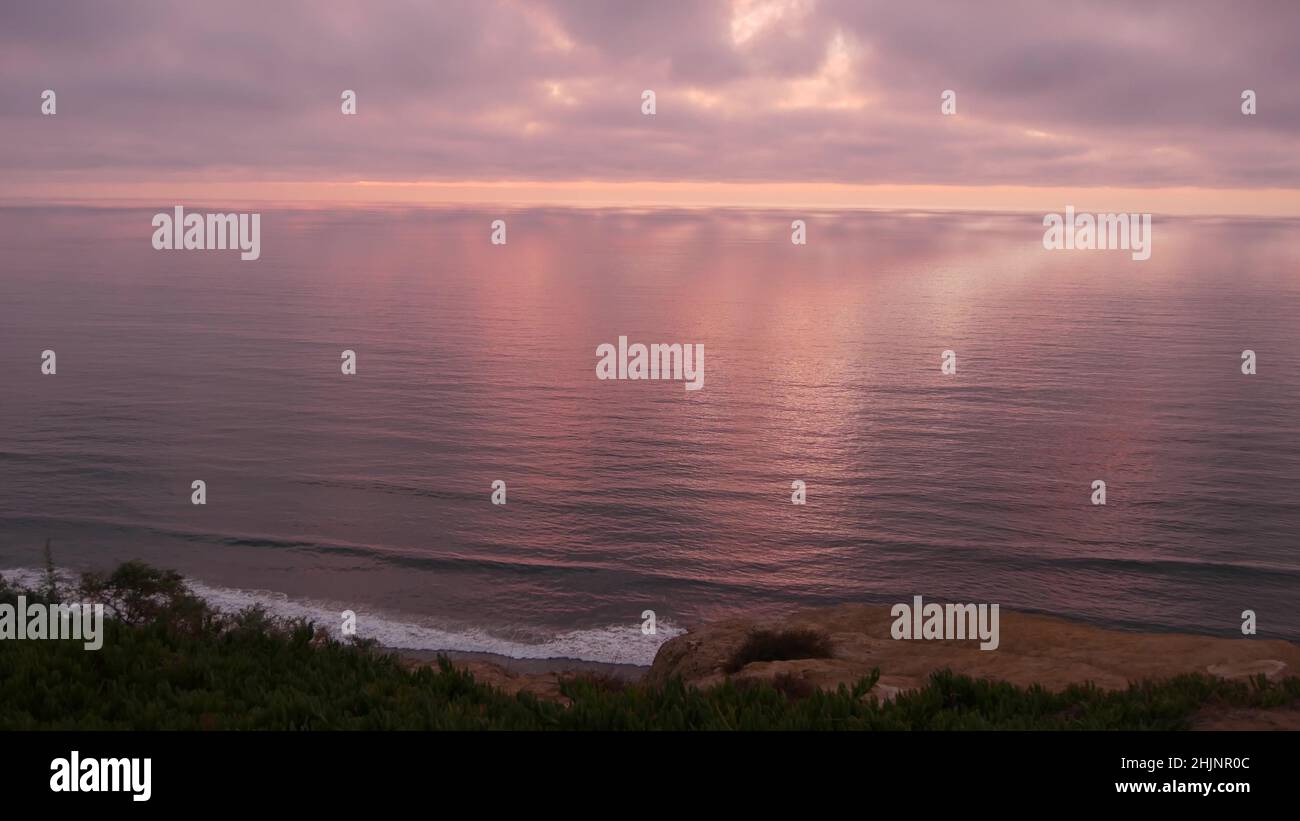 Pink pines hi-res stock photography and images - Alamy