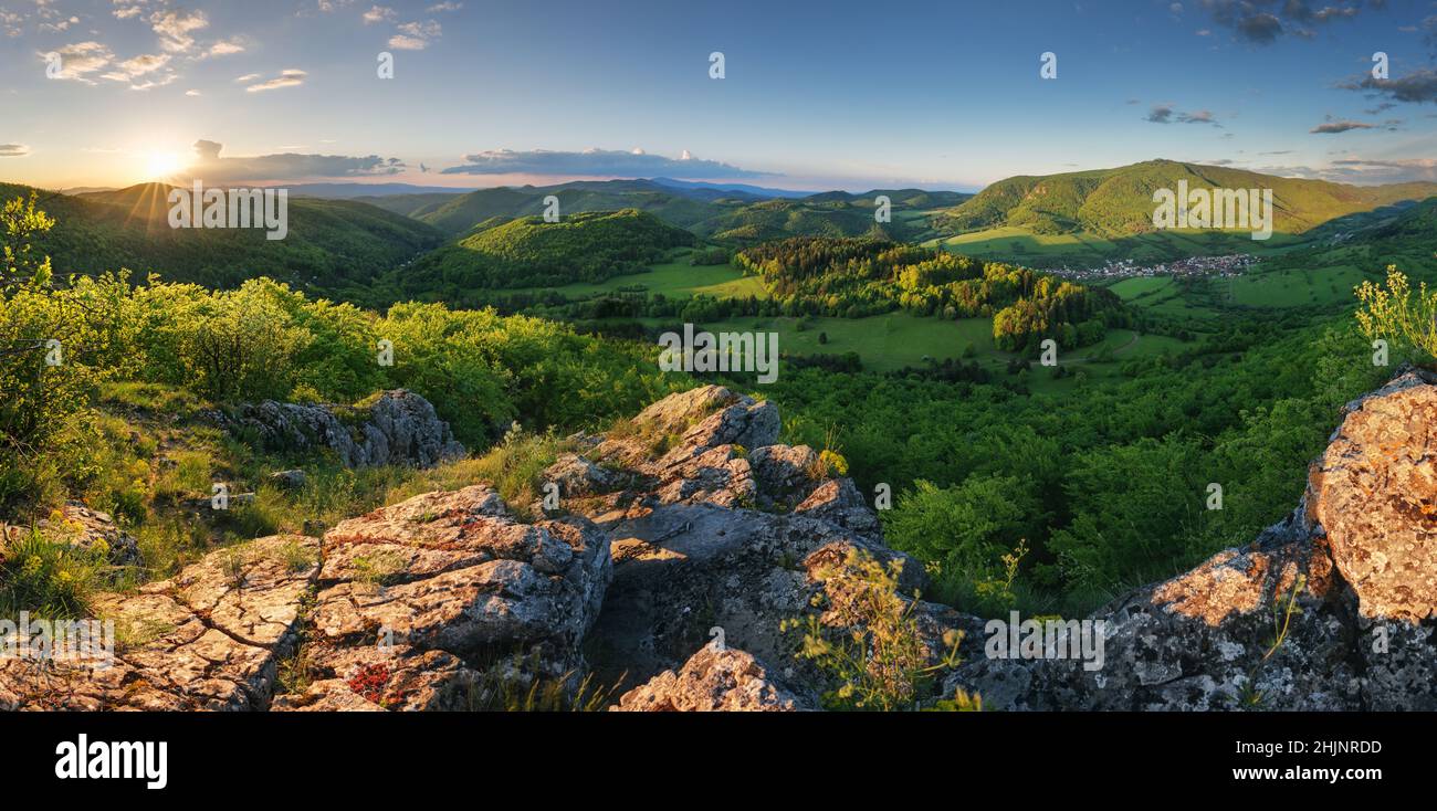 mountain meadow in morning light. countryside springtime landscape with ...