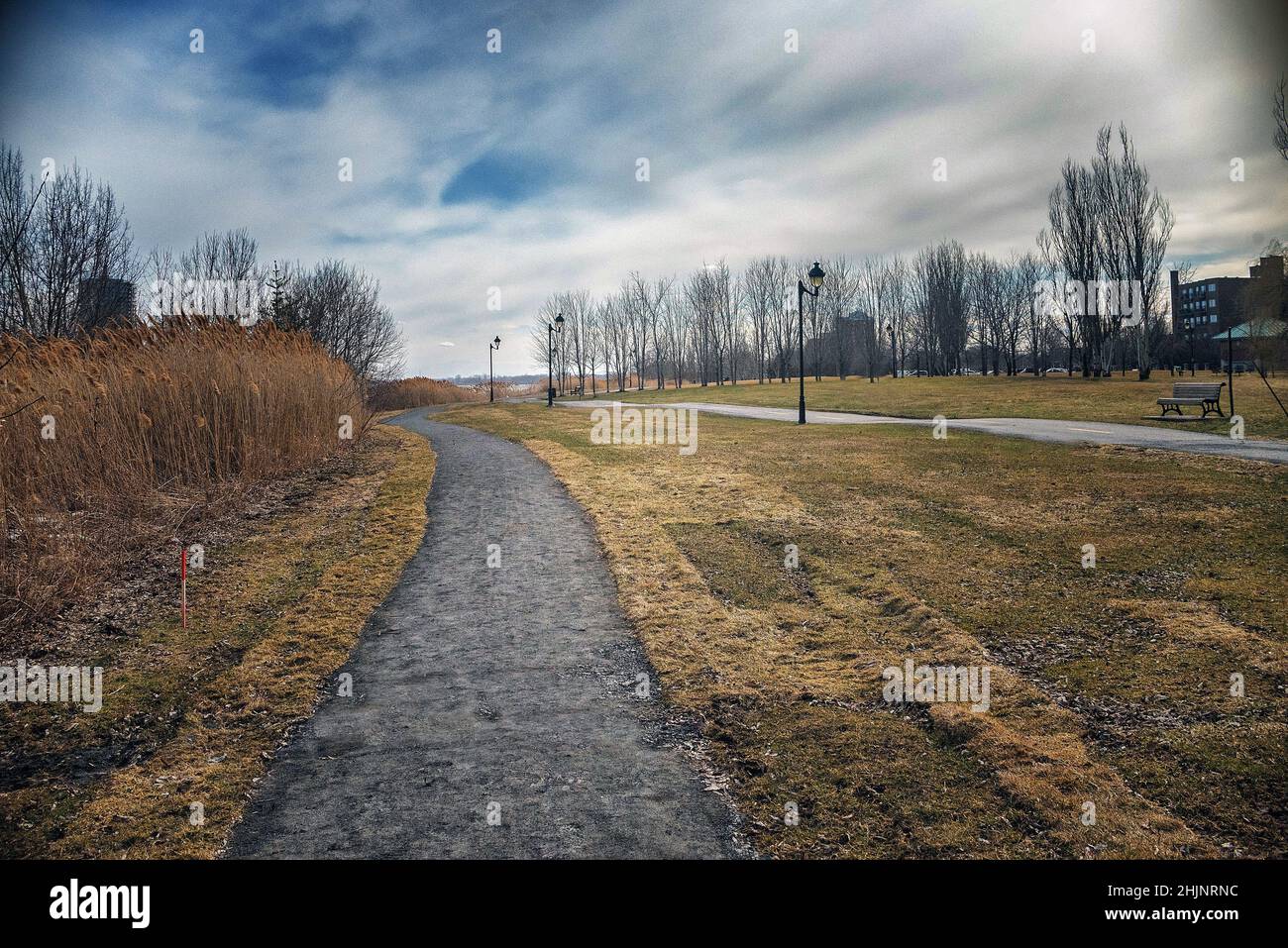 Path through city park with lamps Stock Photo - Alamy