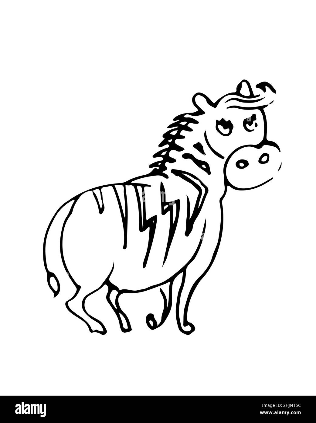 Funny zebra hi-res stock photography and images - Alamy