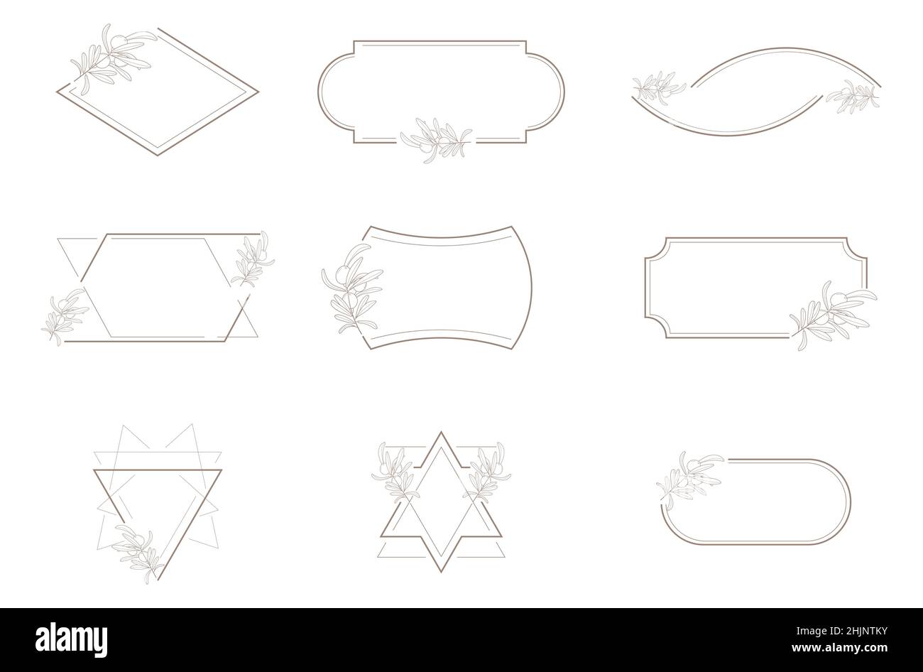 Line geometric frame with olive branch vector set in minimalistic style ...