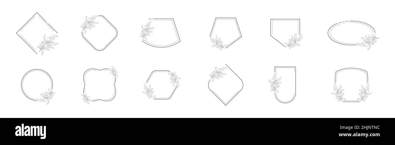 Line Geometric Frame With Olive Branch Vector Set In Minimalistic Style Bohemian Abstract