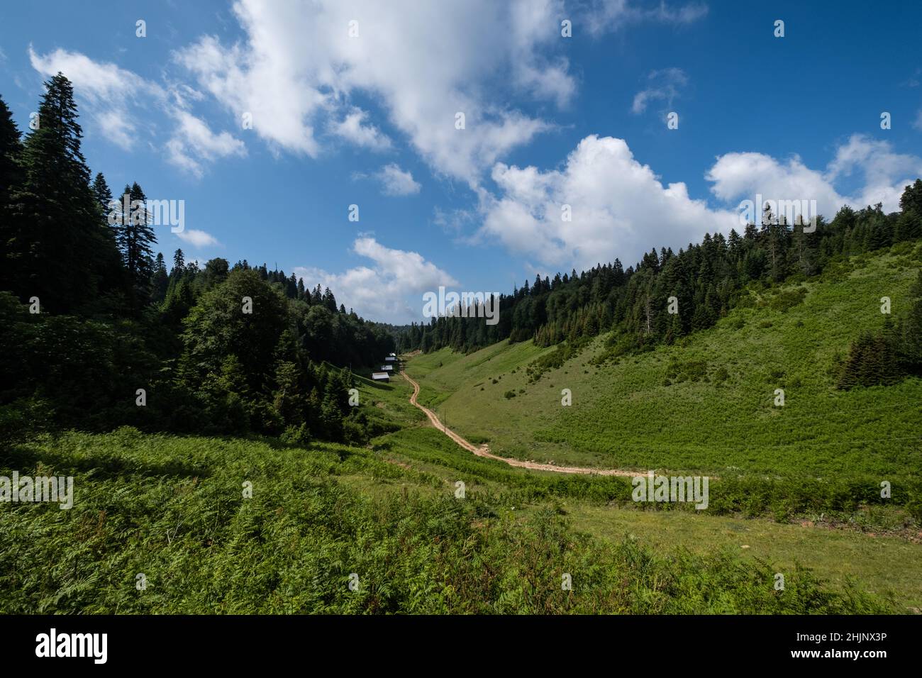 Horizontal photo country road hi-res stock photography and images - Alamy