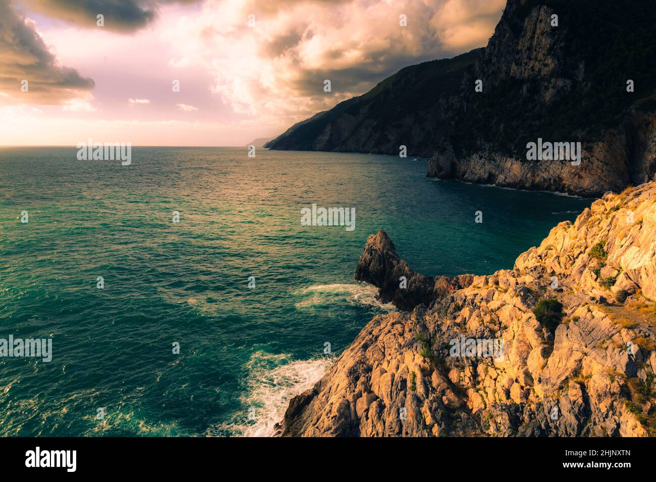 Sea life in Liguria, Italy Stock Photo - Alamy