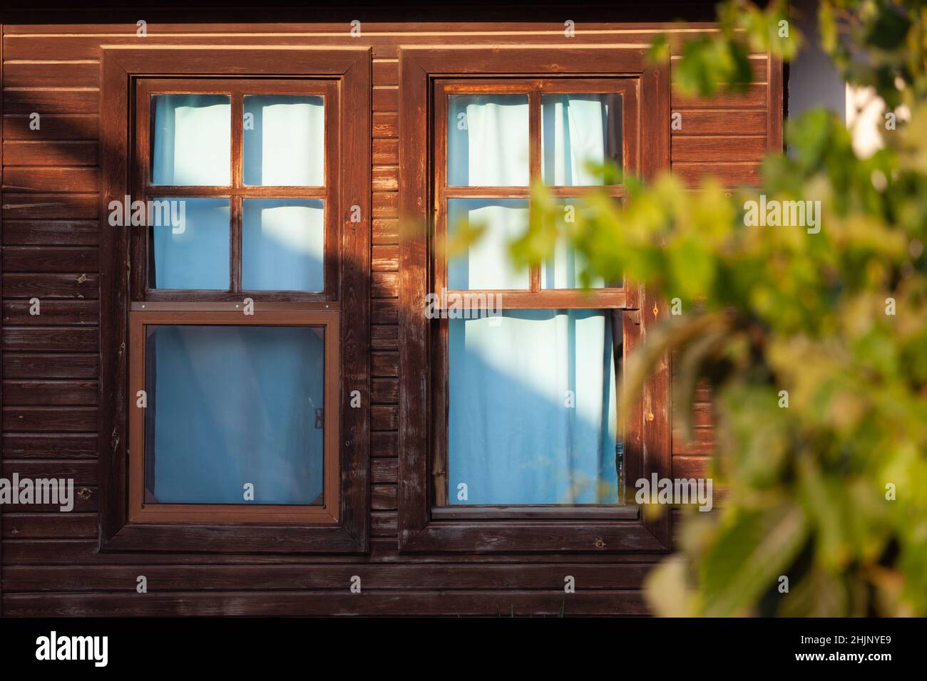 Example of wooden architecture visible behind branches, two windows ...