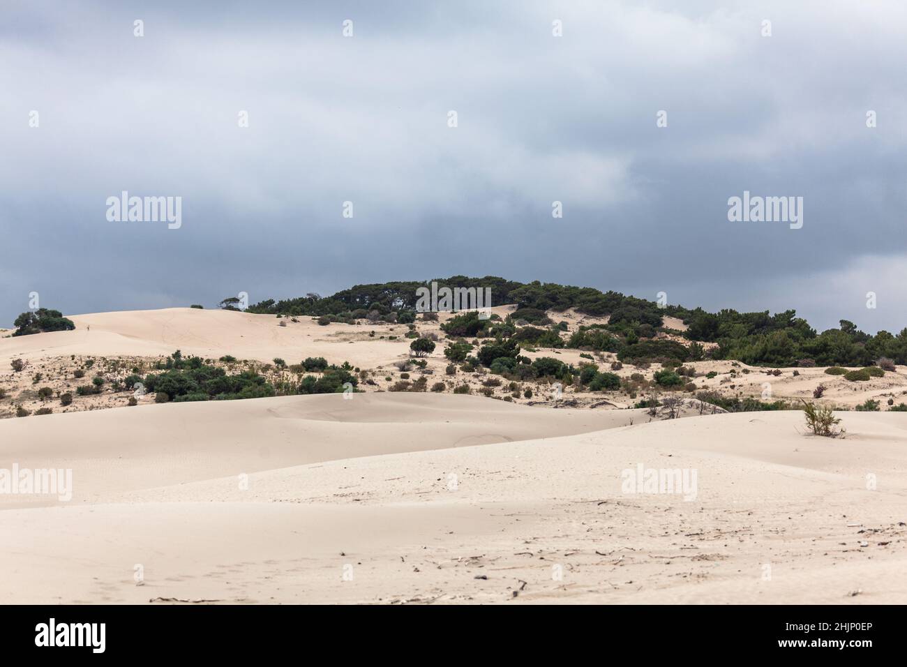 Desert sands on Patara beach as known as "Patara Kum Tepeleri Stock ...