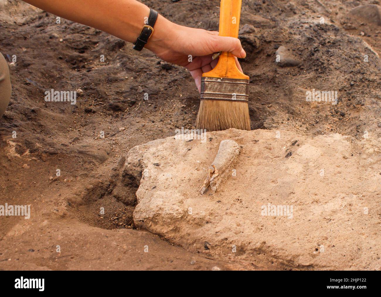 Archaeologist Dig High Resolution Stock Photography and Images - Alamy