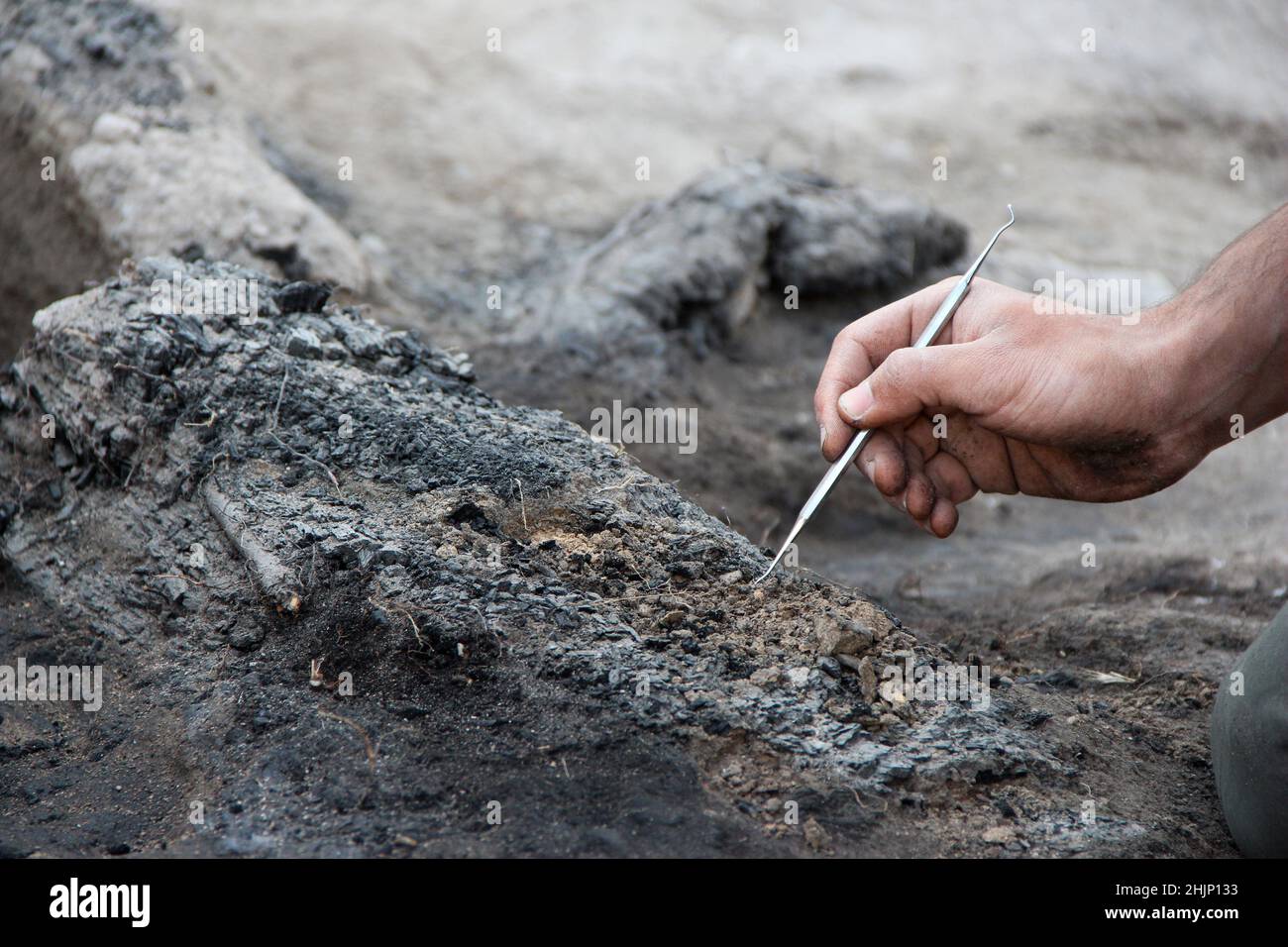 Archaeologist human bones dig hi-res stock photography and images - Alamy