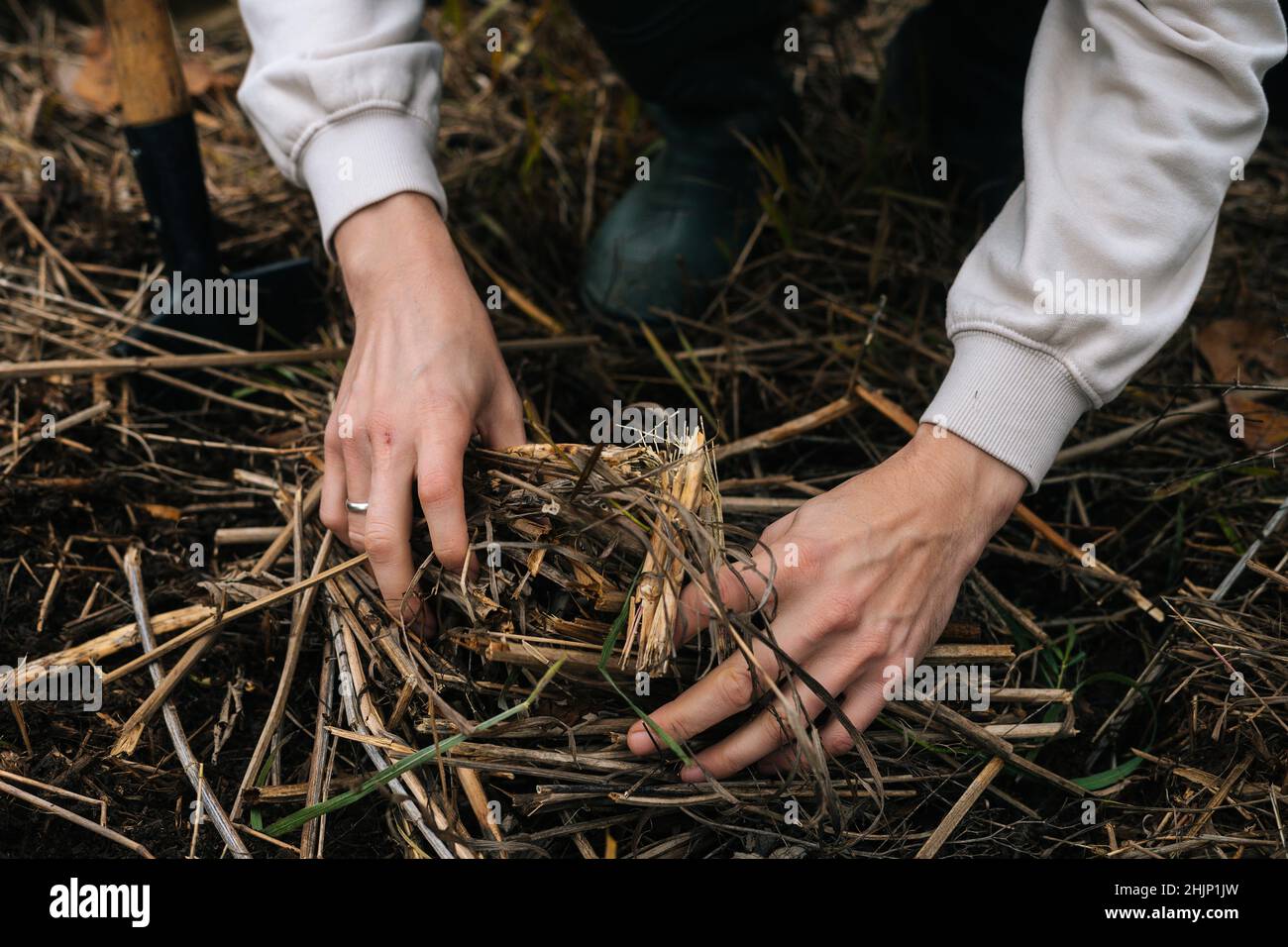 Close-up hands of unrecognizable survivalist male putting brushwood on ...