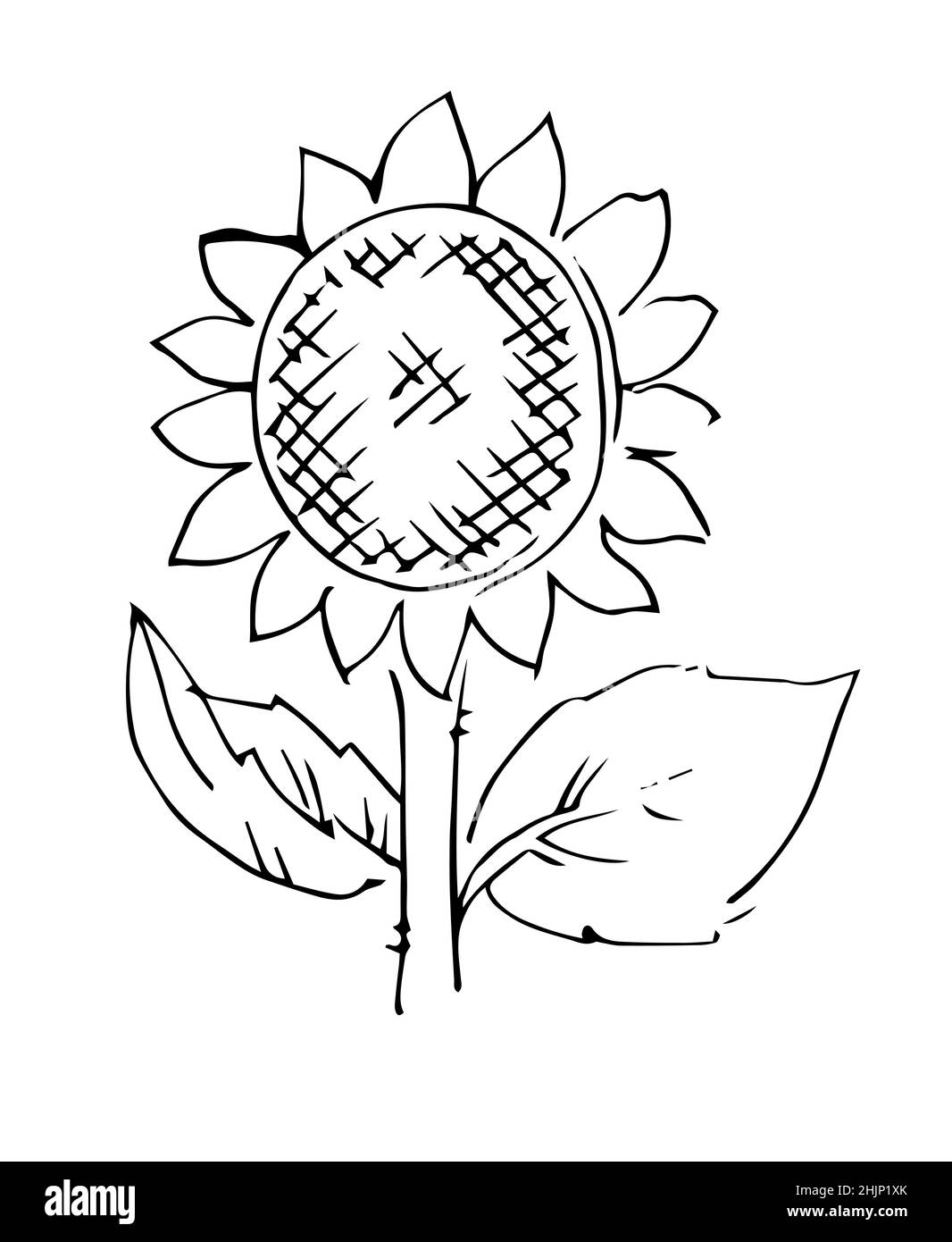 Sunflower Drawing For Kids