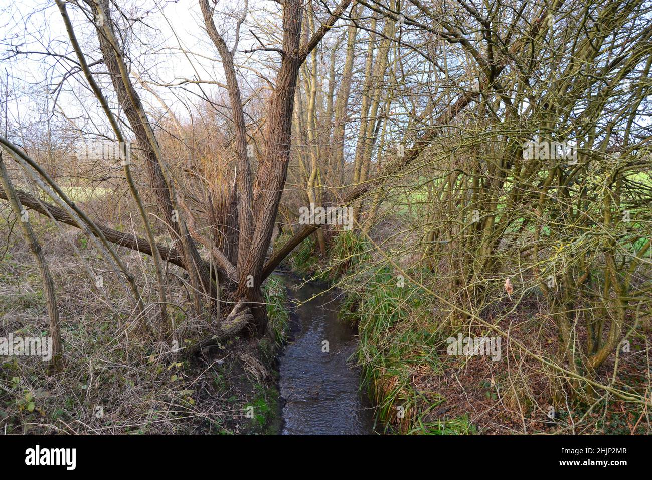 The Kyd Brook in winter. Petts Wood, Hawkwood Estate, Tong Farm. This ...