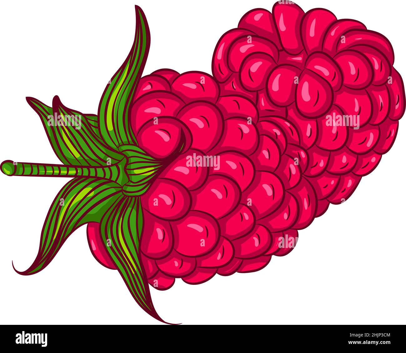 Vector cartoon illustration of two raspberries fruit with tail isolated ...