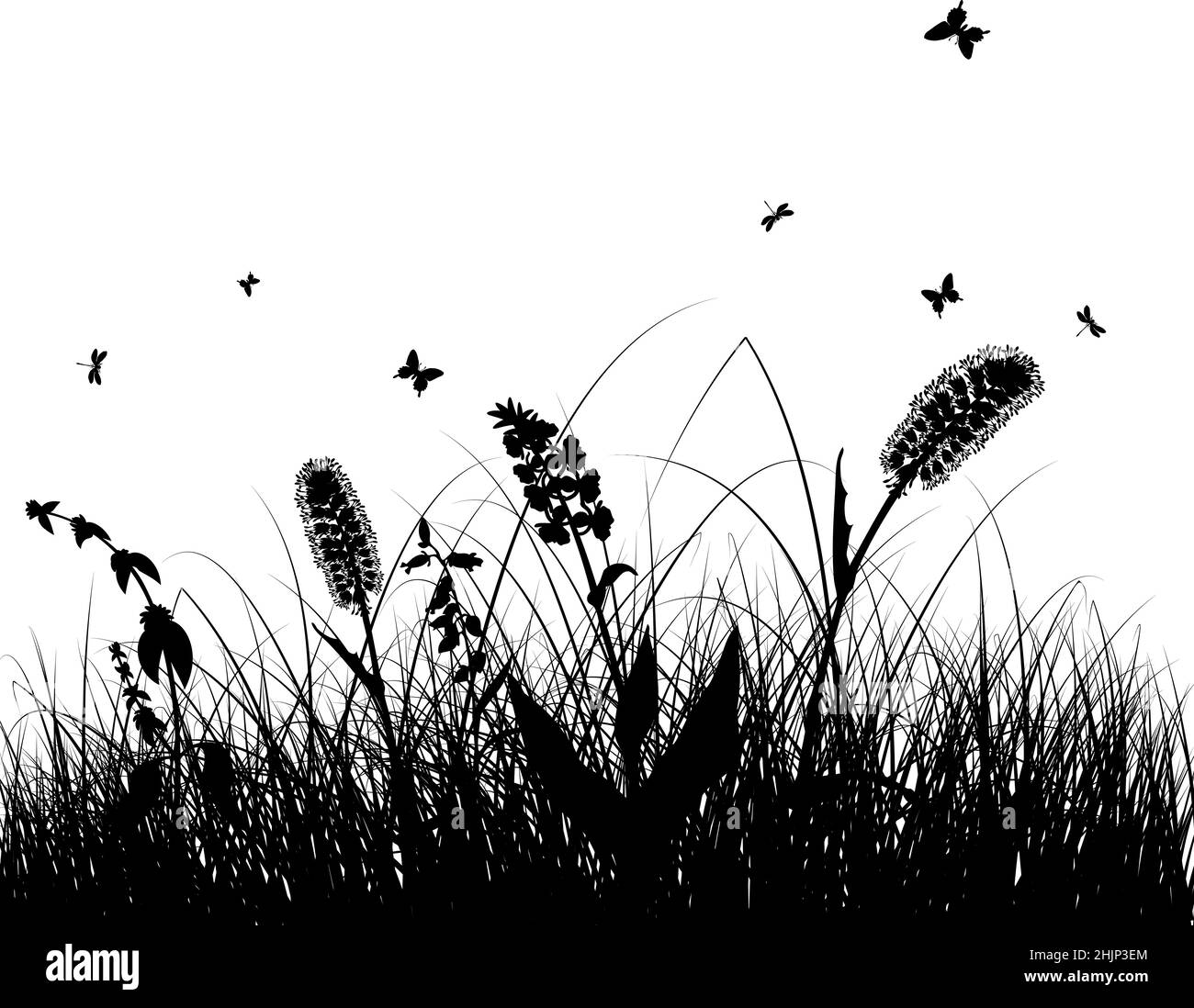 Fresh herbs grass Black and White Stock Photos & Images - Alamy