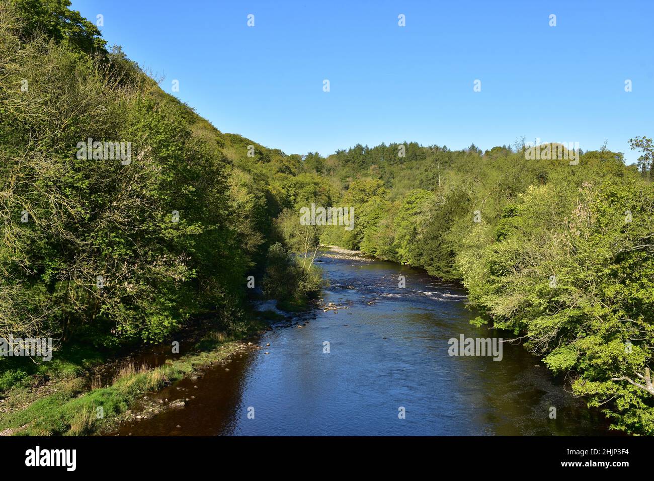 Slow moving river through the woodlands in the spring time Stock Photo ...
