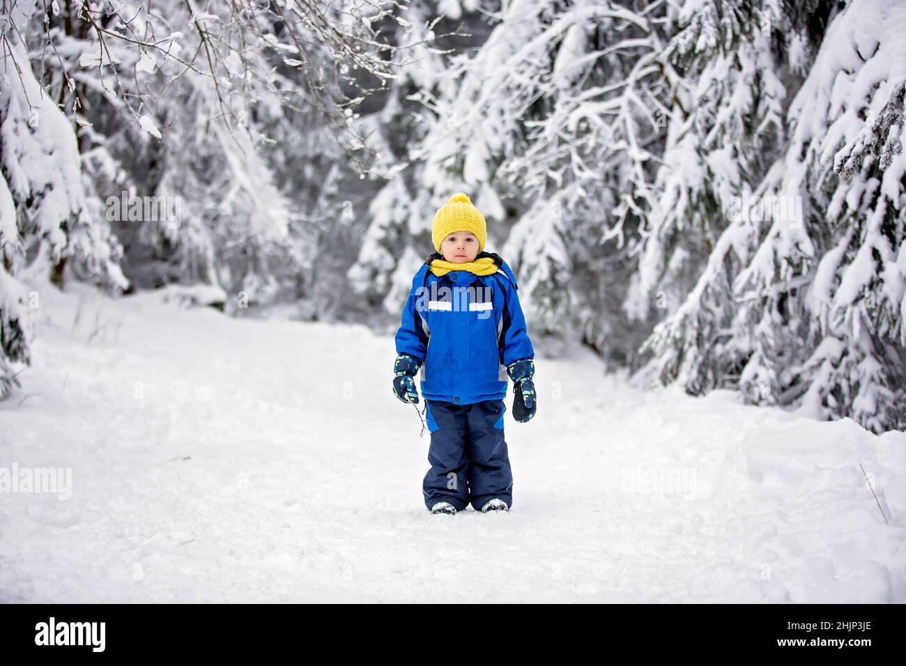 Sweet happy child, playing in deep snow in forest Stock Photo - Alamy