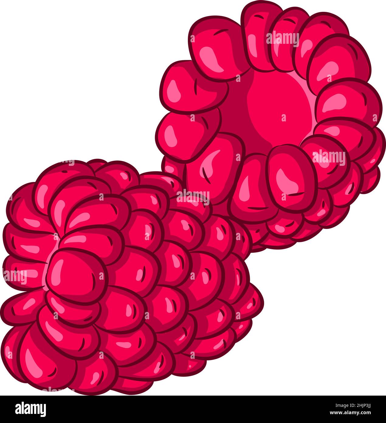 Vector cartoon illustration of two raspberries fruit isolated on white ...