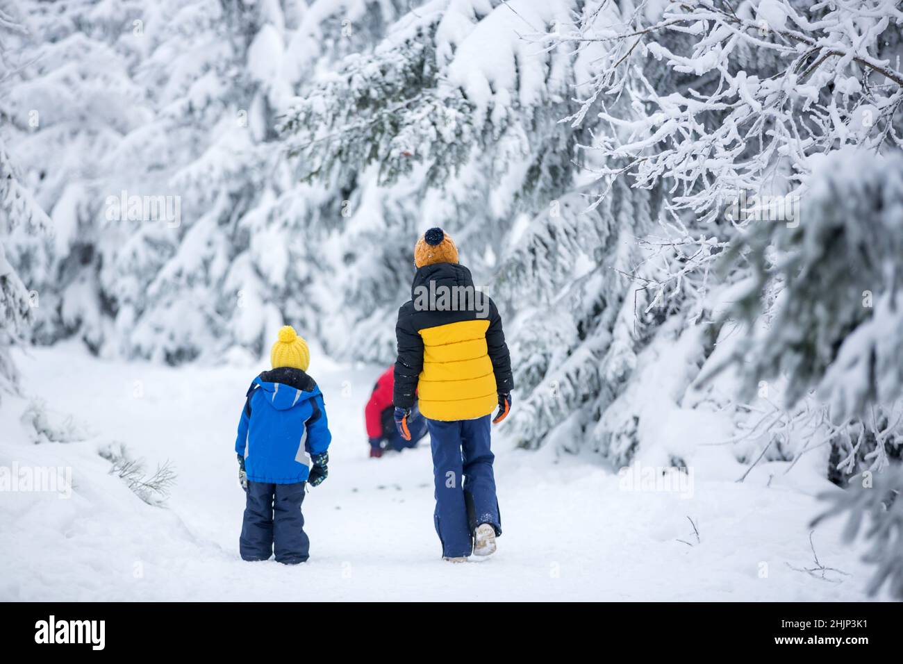 Sweet happy children, brothers, playing in deep snow in forest, frosted ...