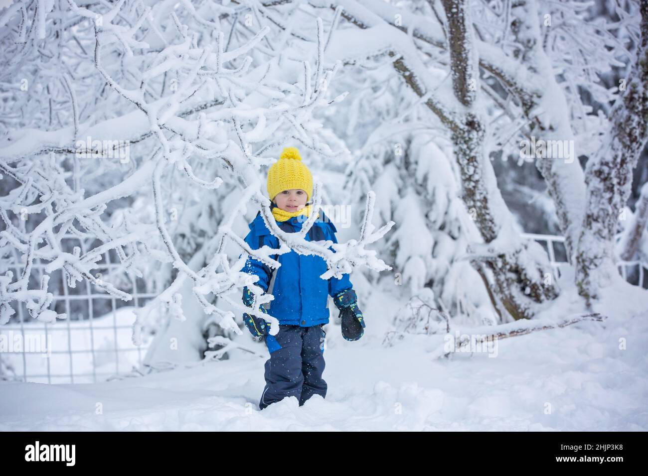 Sweet happy child, playing in deep snow in forest Stock Photo - Alamy