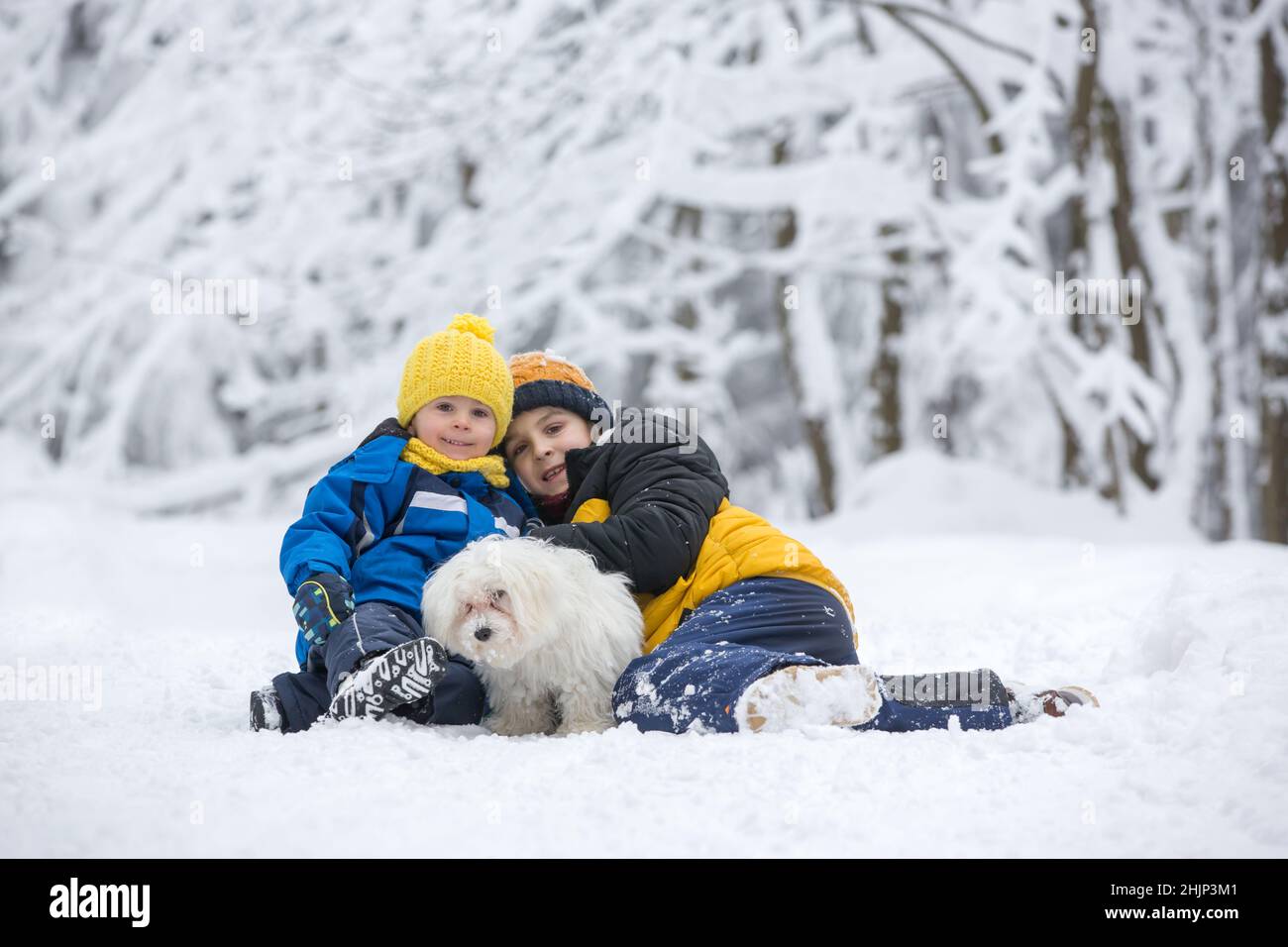 Sweet happy children, brothers, playing in deep snow in forest, frosted ...