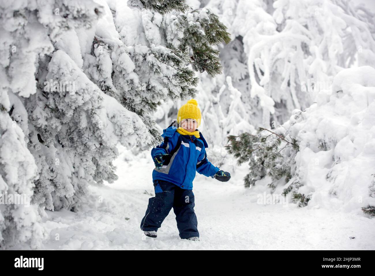 Sweet happy child, playing in deep snow in forest Stock Photo - Alamy
