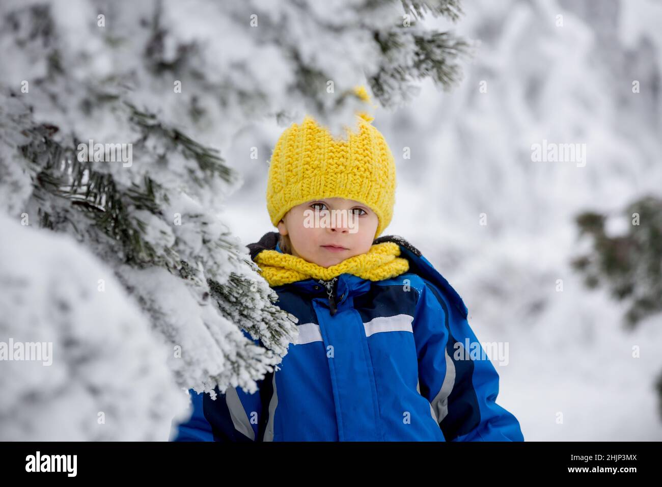 Sweet happy child, playing in deep snow in forest Stock Photo - Alamy