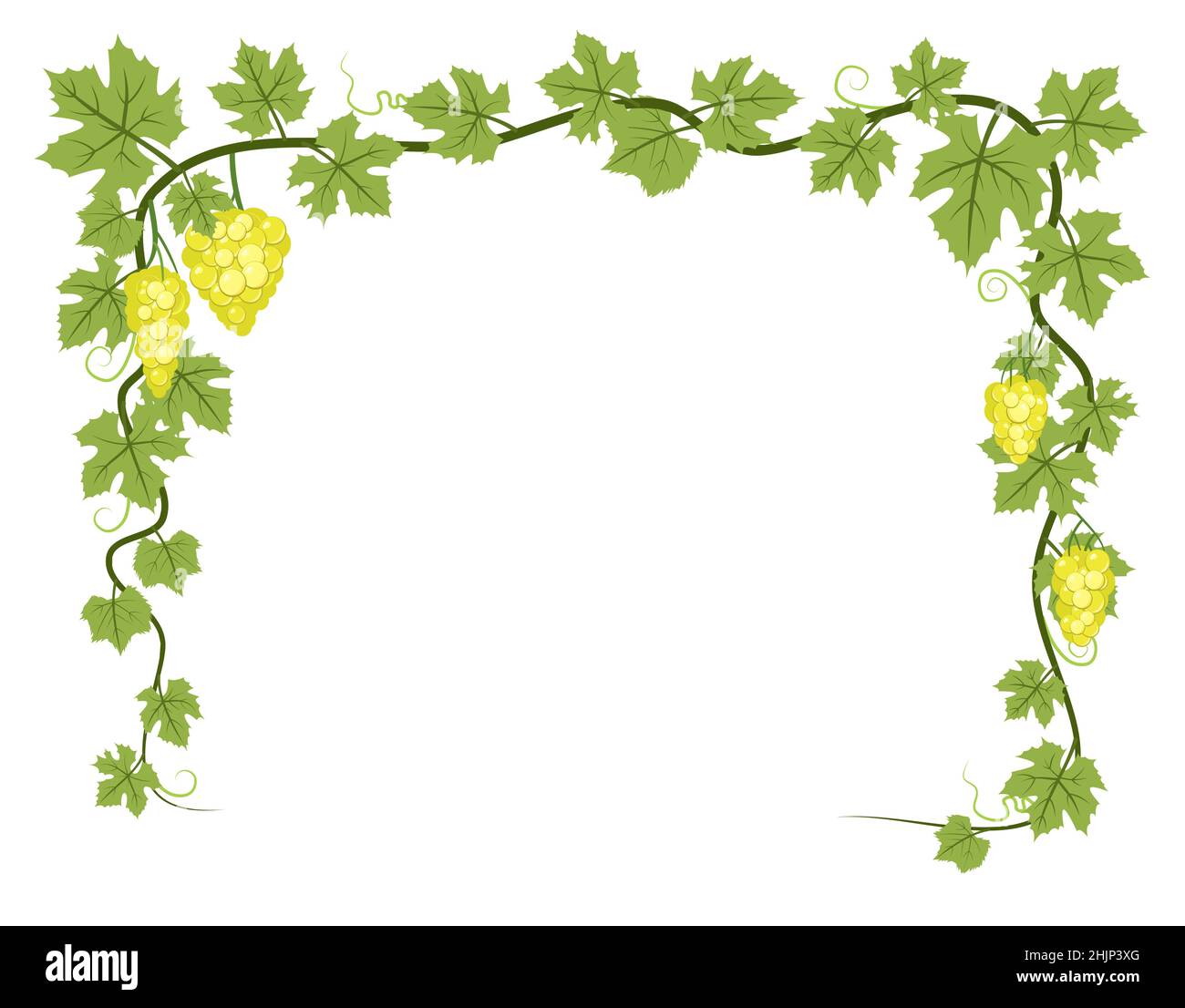 Rectangular Frame. Vine with foliage and bunches of grapes. Viticulture ...