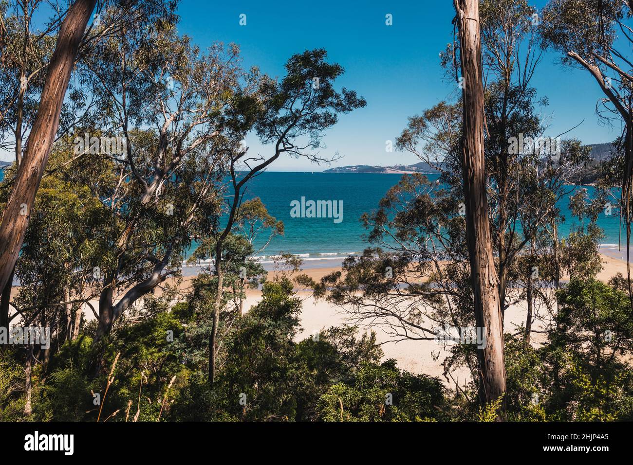 Alum cliffs tasmania hi-res stock photography and images - Alamy