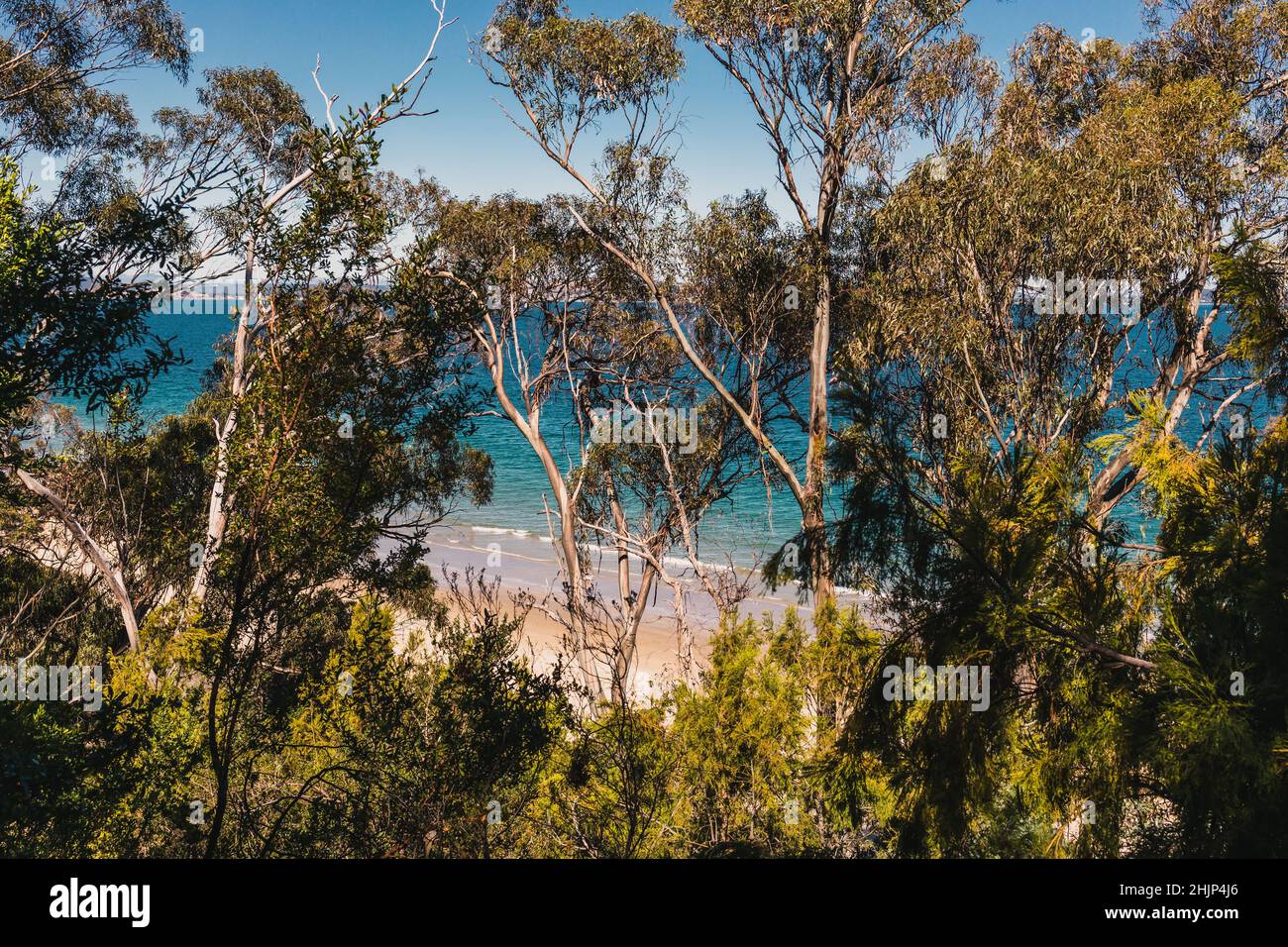 Alum cliffs track hi-res stock photography and images - Alamy