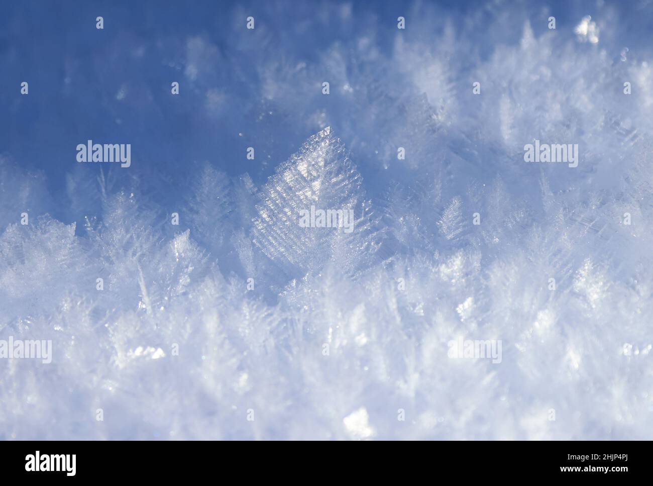 Beautiful ice crystals in the snow of Val Saisera, Italy Stock Photo ...