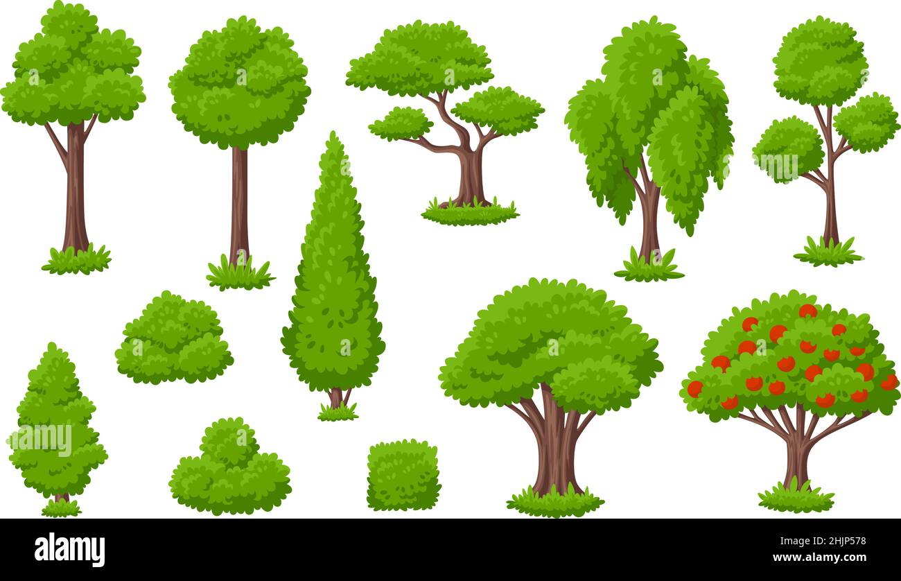Cartoon tree and bush. Green trees, garden bushes. Forest elements ...