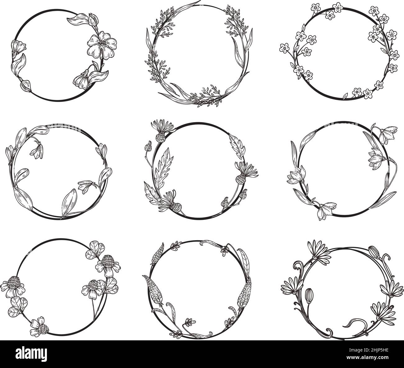Round frames with flower. Floral vintage circle frame, laurel logo for ...