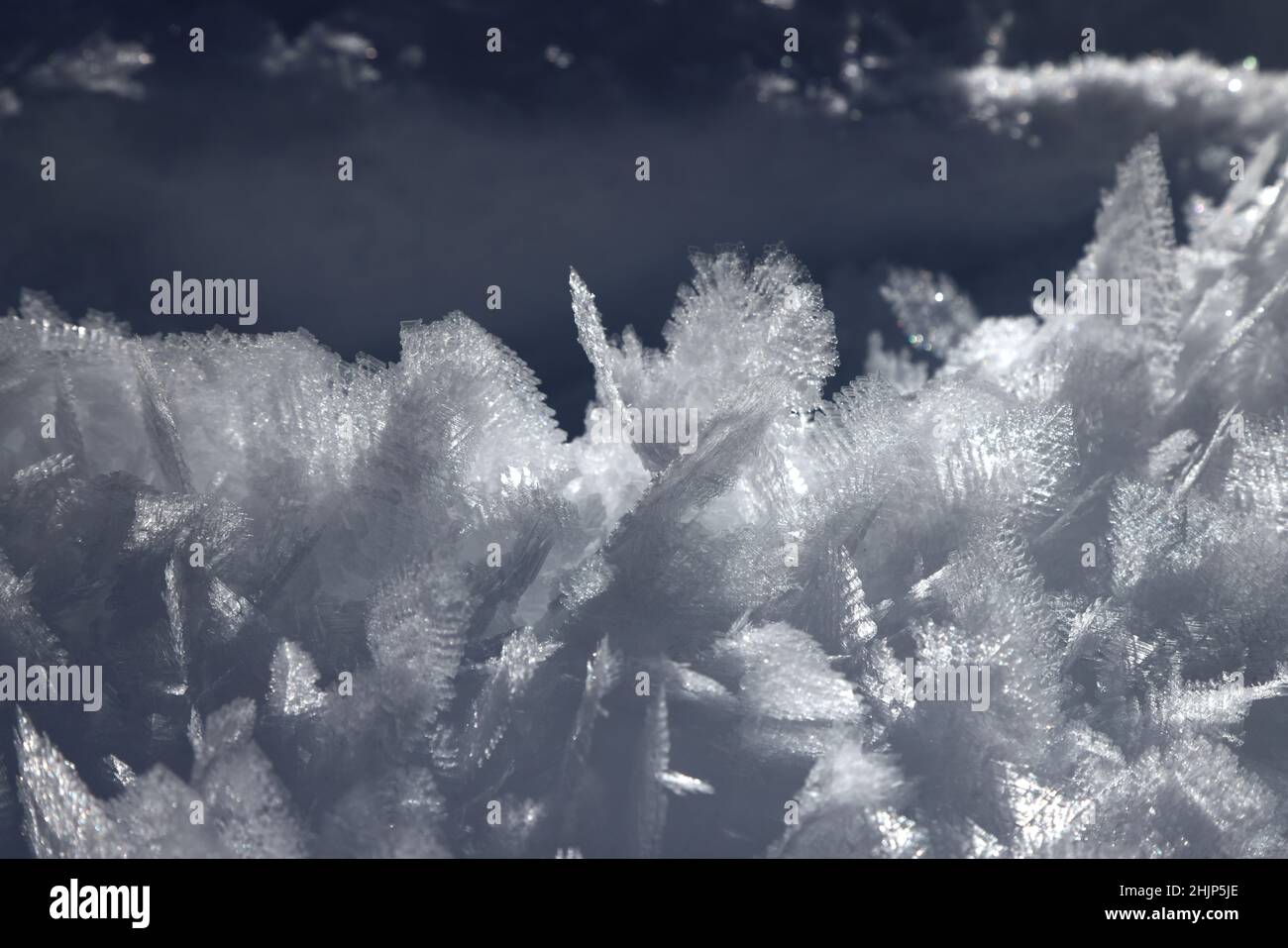 Beautiful ice crystals in the snow of Val Saisera, Italy Stock Photo ...