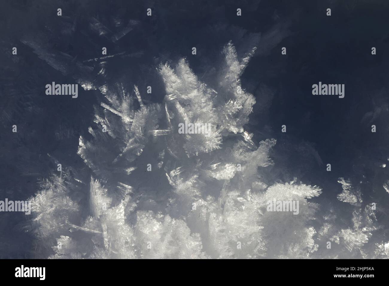 Beautiful ice crystals in the snow of Val Saisera, Italy Stock Photo ...