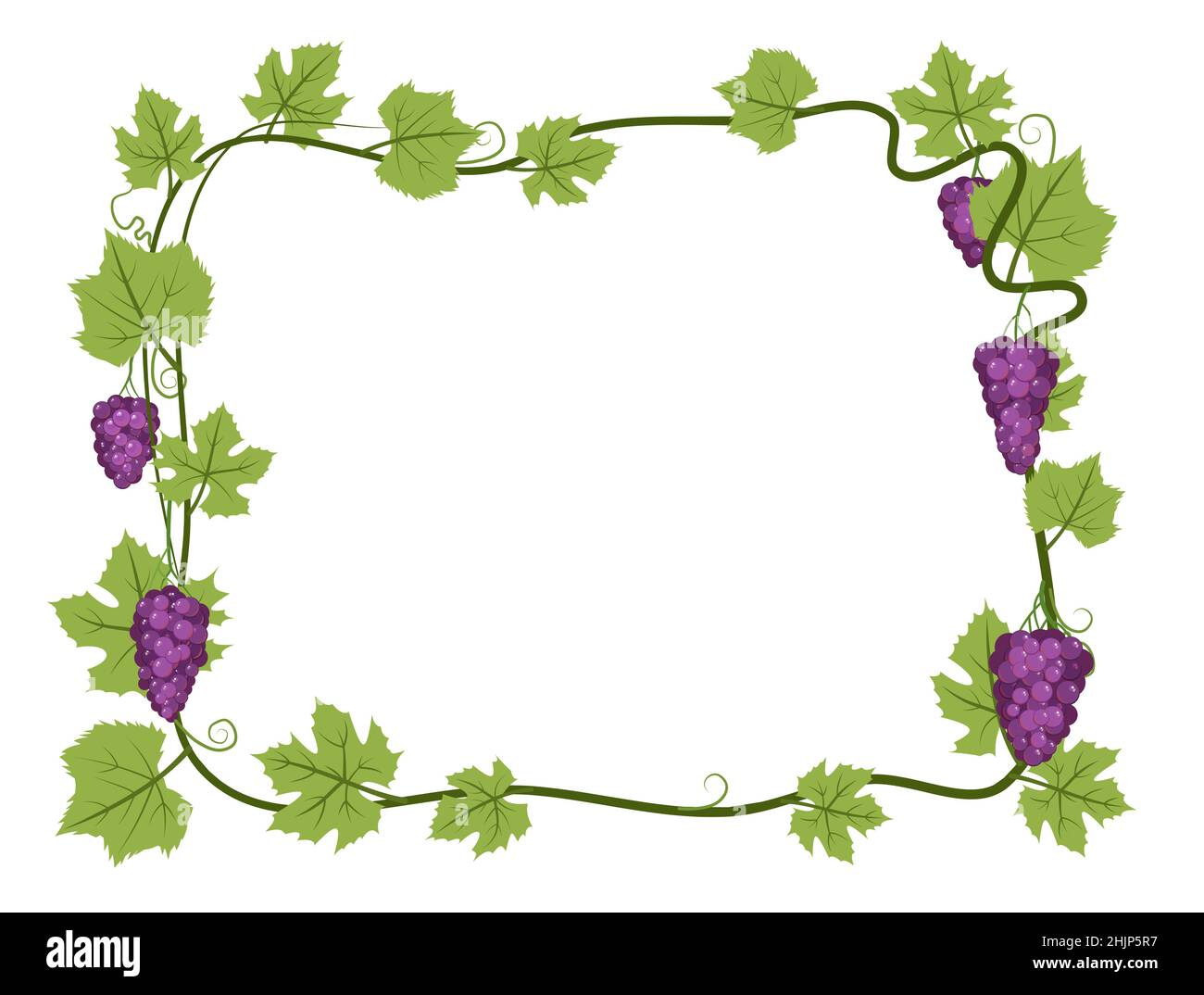 Rectangular Frame. Vine with foliage and bunches of grapes. Viticulture ...