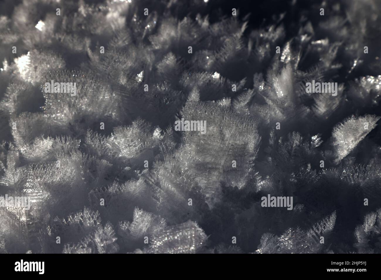 Beautiful ice crystals in the snow of Val Saisera, Italy Stock Photo ...