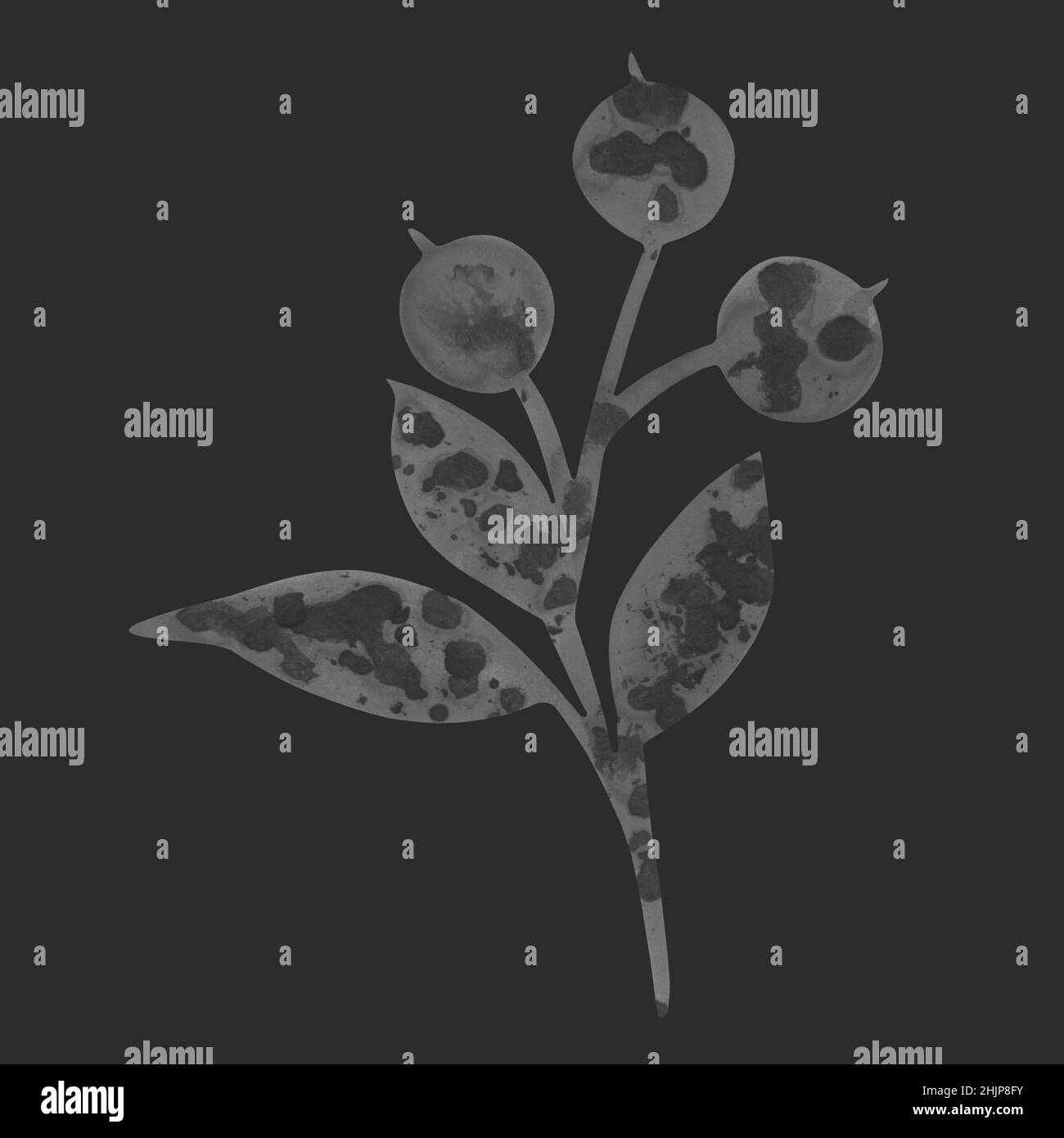 Autumn cards Black and White Stock Photos & Images - Alamy