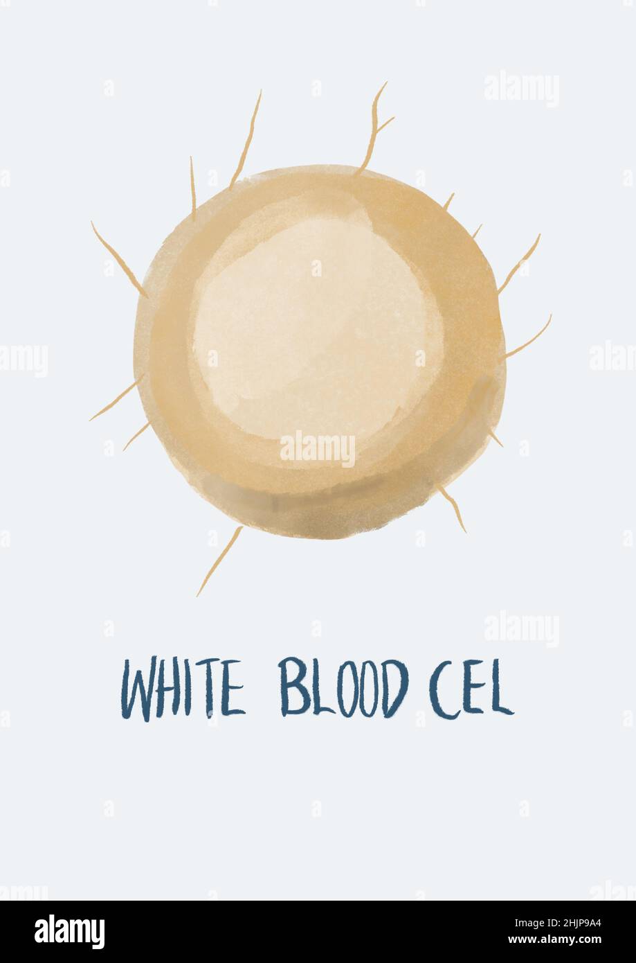 Human cell related illustration Stock Photo - Alamy